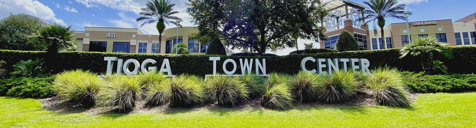 Tioga Town Center